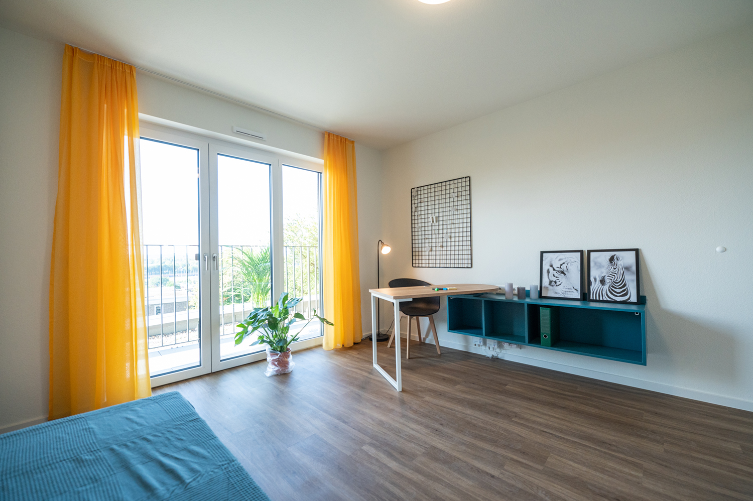 BASIC+ DUO - PLUG & STUDY 2